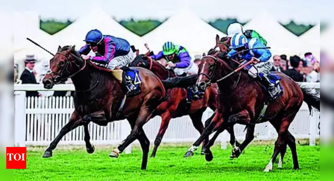 Financial Services: Tiger Mountain For Royal Revive Plate | Hyderabad ...