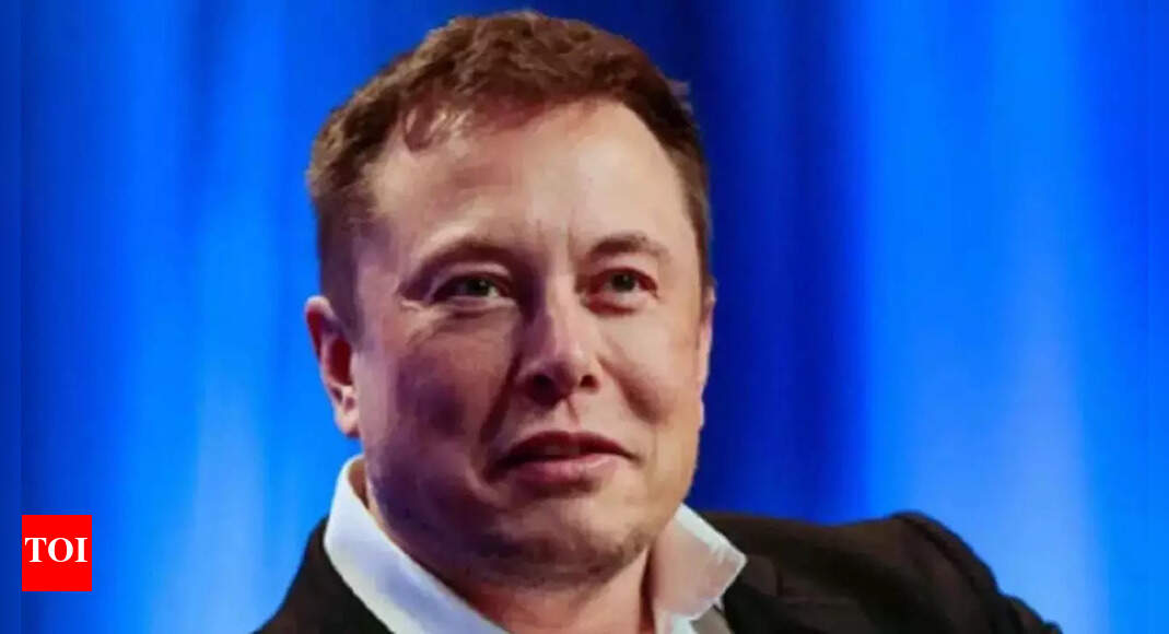 Putin: Musk told Pentagon he spoke to Putin directly: Report - Times of ...