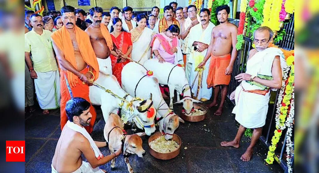 Punganur Cows: Industrialist From Hyd Donates Punganur Cows To Kukke ...