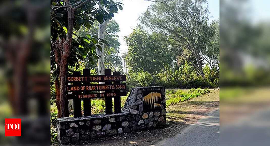 Felling of 6,000 trees in Corbett National Park: Why not CBI probe ...