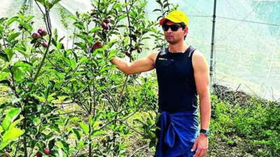Research: Iit Engineer, Lawyer Among Pros Taking Up Agriculture ...