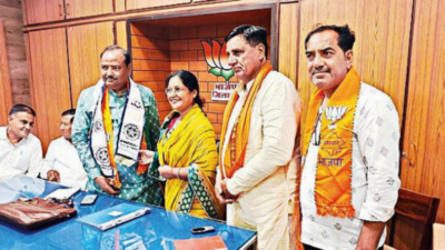 Haryana: Bjp Mlas From Gujarat, Up, Haryana Fan Out Across Raj | Jaipur News - Times of India
