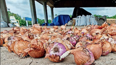 Govt, oppn spar over onion buying, Fadnavis claims credit from Japan ...