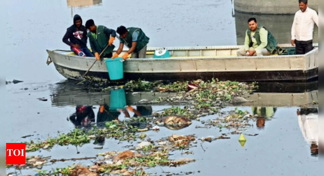 'Over 1.3 lakh people took part in Yamuna cleaning drive' | Delhi News ...