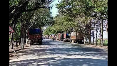 Research: 122 Large Trees To Be Chopped For Rob Construction | Raipur ...