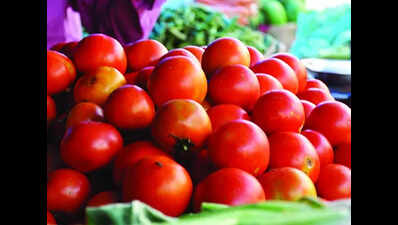 Goa: Fresh harvest takes further bite out of tomato prices | Goa News ...