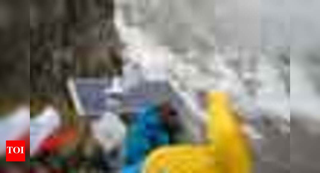 Webcam: Webcam set on Everest to help study climate changes - Times of ...