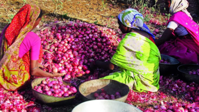 Stir ends, Nashik onion auction to resume today | Nashik News - Times of India