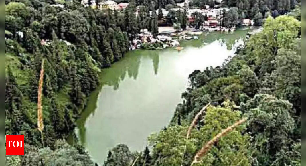 Sukhatal Lake brims with rainwater | Dehradun News - Times of India