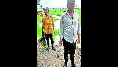 No-Leptospirosis Shoe: No-leptospirosis Mantra: Shoe Developed For ...