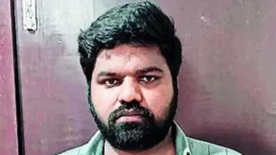 Ponzi Scam: 3 More Chinese Involved In Ponzi Scam, Says Eow | Bhubaneswar News - Times of India