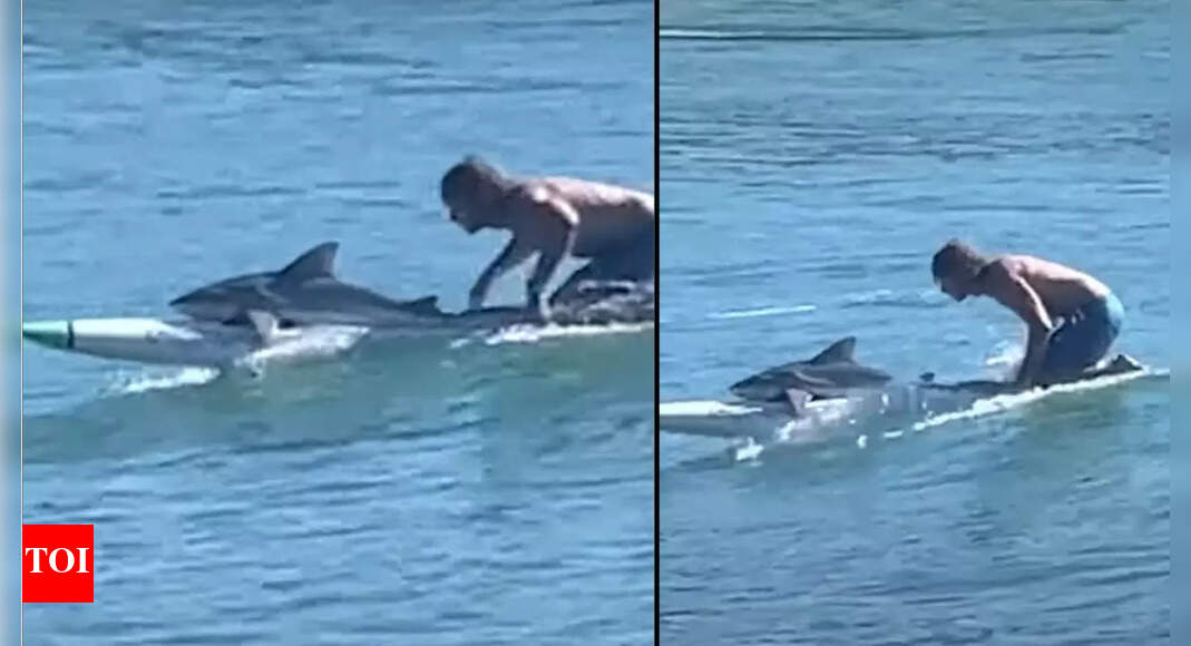 Watch: Australian surfer rides back to the shore with a lifeless shark ...