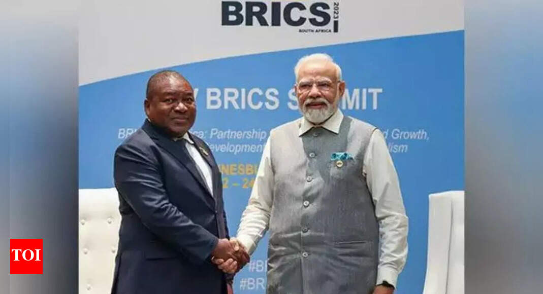 Johannesburg: PM Modi, Mozambique president Filipe Nyusi discuss ...