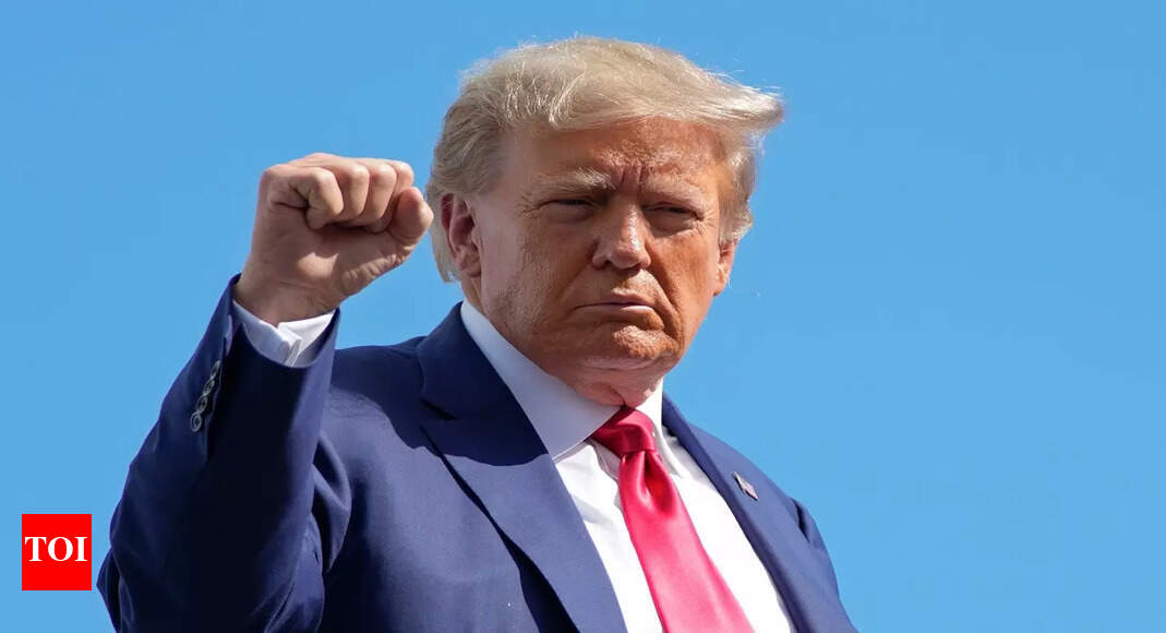 Trump: 'Don is back': Trump's mug shot triggers memefest - The Times of ...