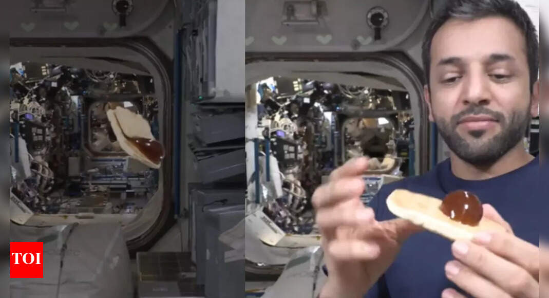 Emirati astronaut eats Honey Sandwich in space, netizens are fascinated ...