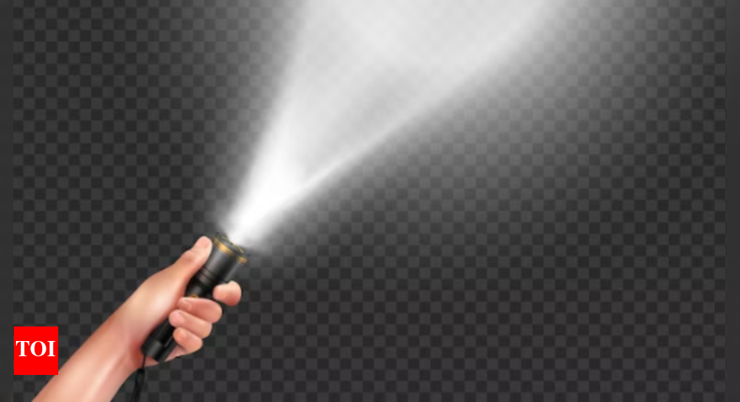 Most Reliable LED Rechargeable Torch Lights in India | - The Times ...