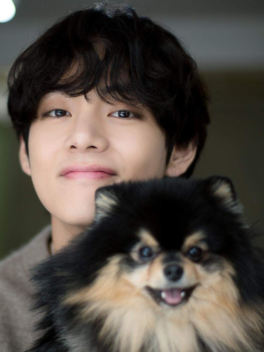 BTS' V To Stray Kids' Bang Chan: 10 K-pop Idols With The Cutest Dogs ...