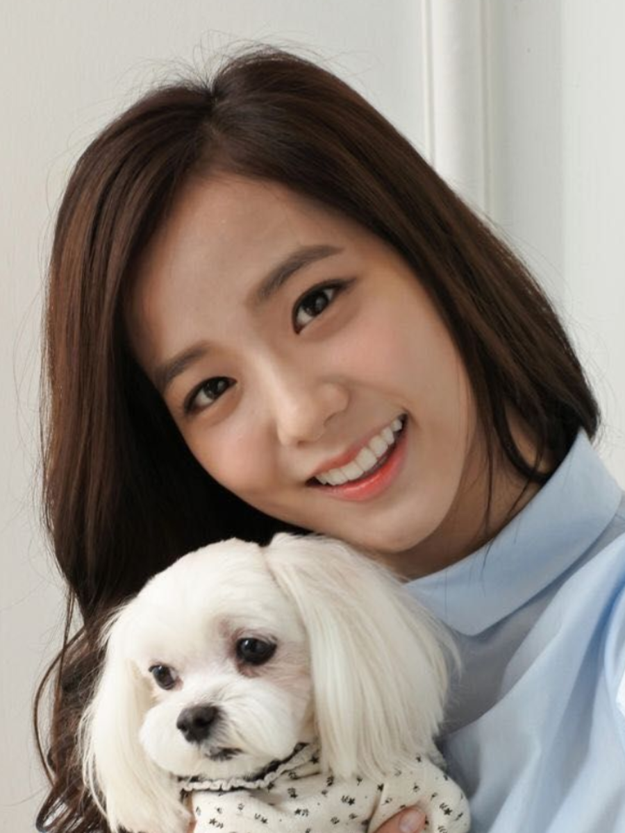 10 K-Pop Idol Dogs That Are As Famous As Their Owners | Zoom TV