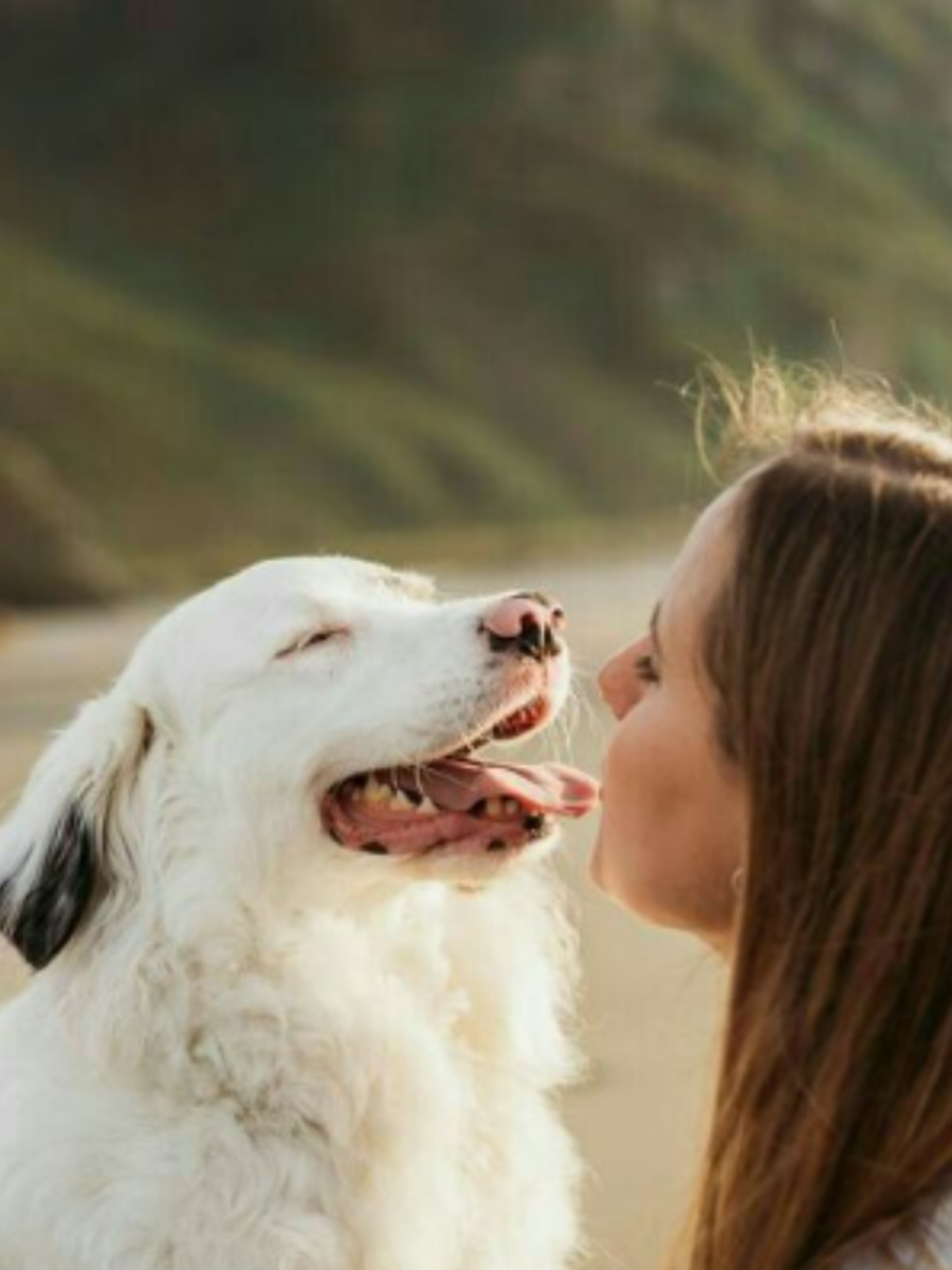 Zodiac Signs Who Love Animals More Than Humans | Times Now