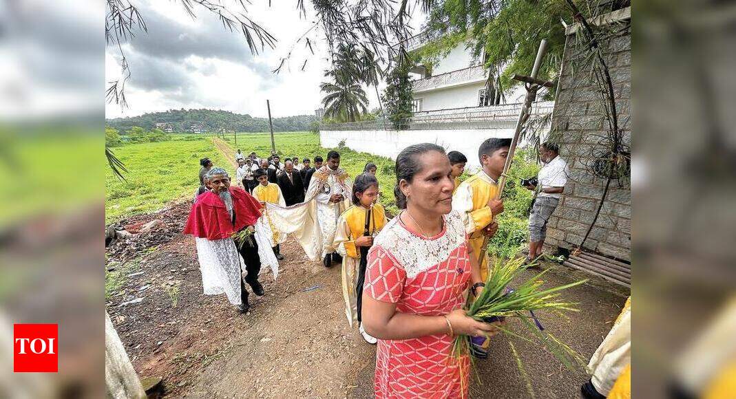 Climate change adds to misery of harvest fest celebrations | Goa News ...