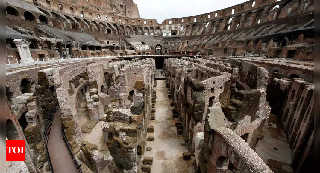 Rome moves to get rid of rats around Colosseum - Times of India