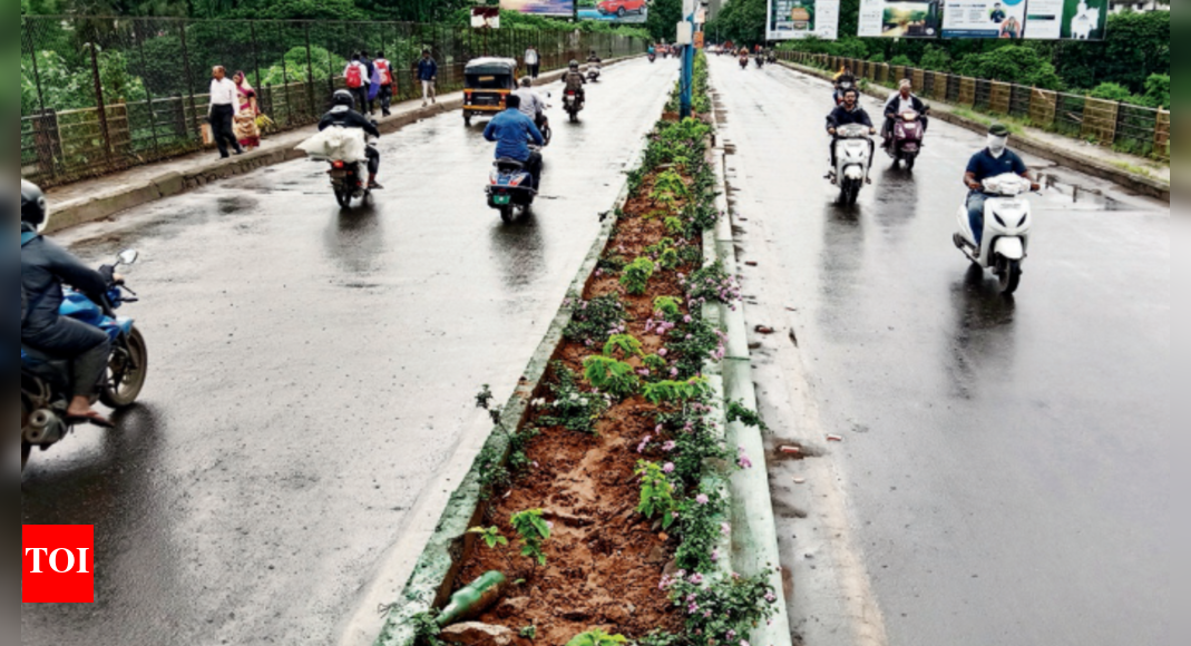 Pune: 11 bridges & flyovers set for repairs; PMC floats tender | Pune News - Times of India