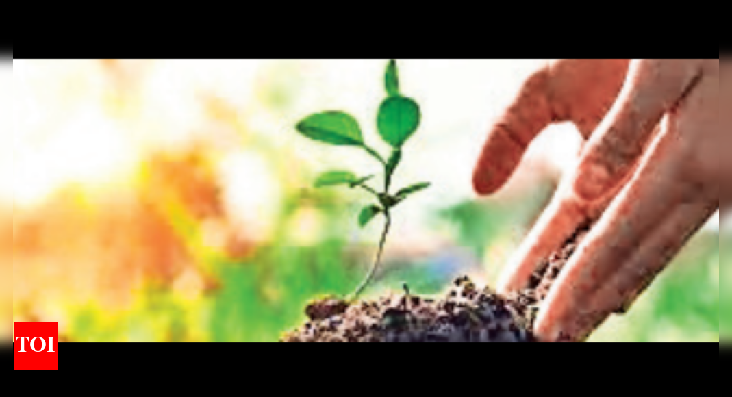 Tree Planting: Govt plants over 1 crore trees across Telangana ...