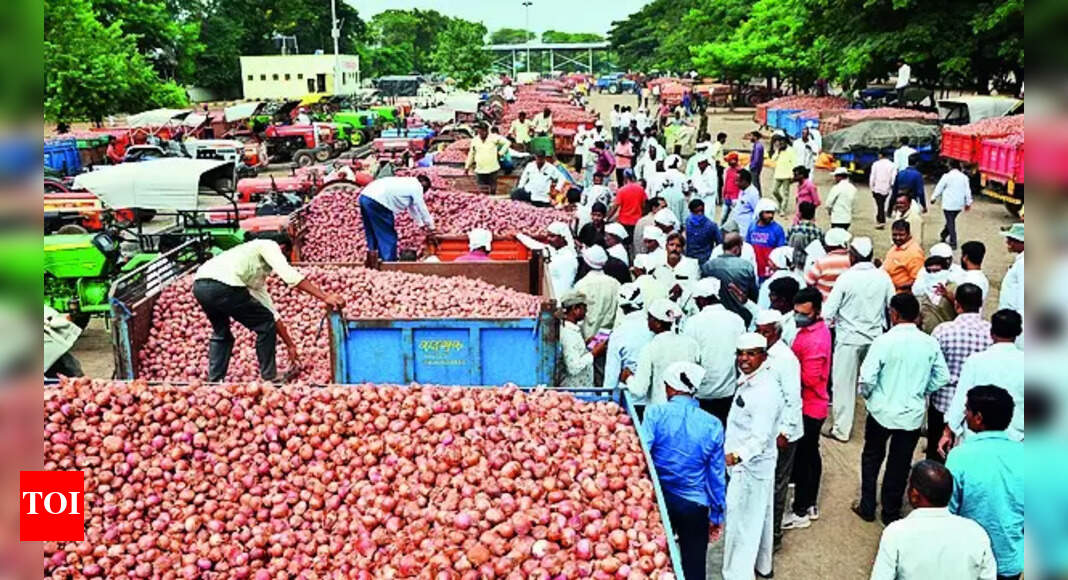 Onion Exports: Nashik District Onion Exports Drop By Over 60% In 6 Days | Nashik News - Times of ...