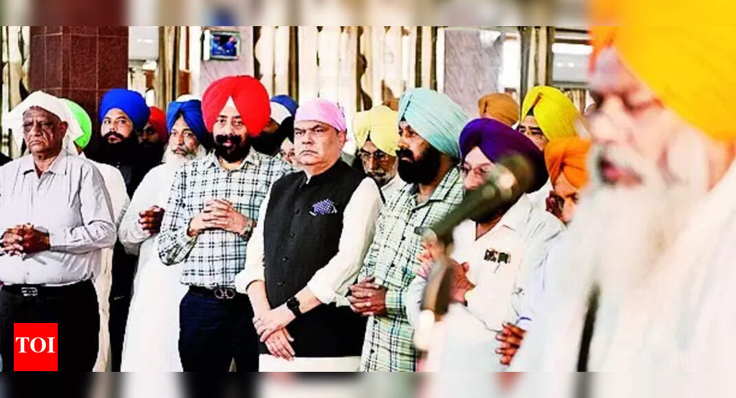 Revolutionary: Sidhwan Bet To Get New Library | Ludhiana News - Times ...