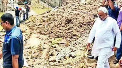 Some more parties willjoin INDIA bloc: Nitish | Patna News - Times of India