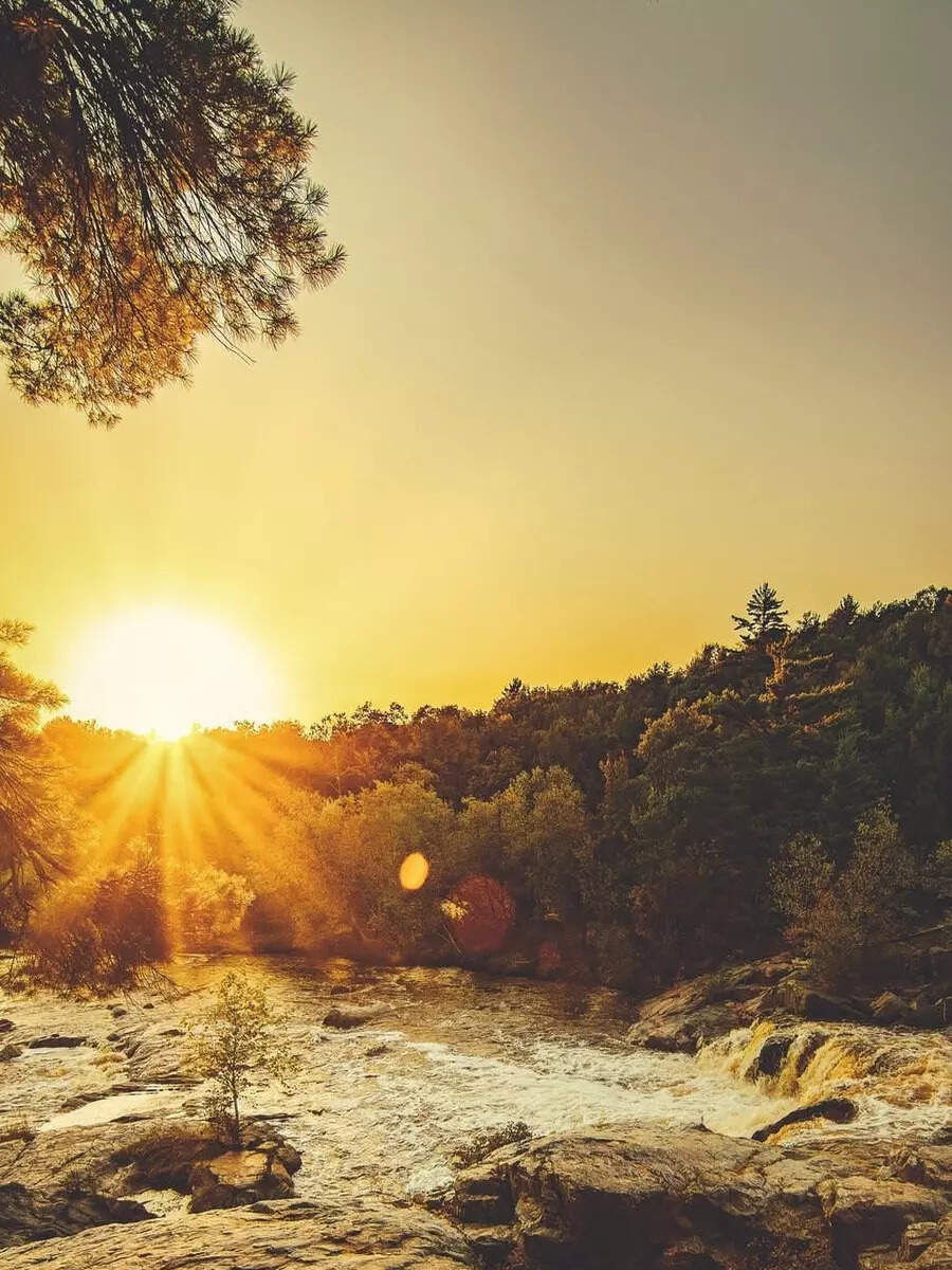 What Is Bhadra? Why Is It Considered Inauspicious | Times of India