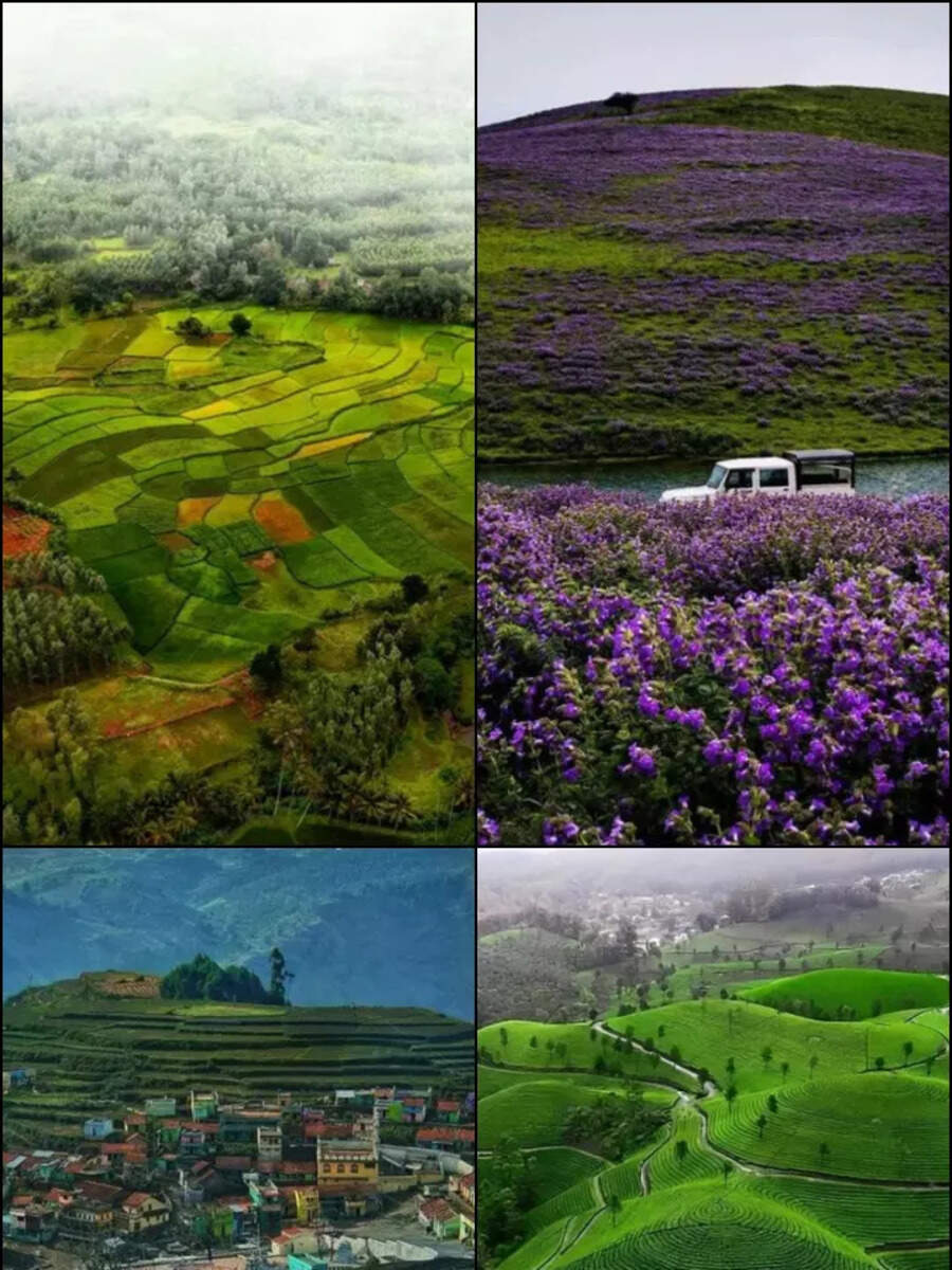 Hill Station In South India | Which is The Most Beautiful Hill Station ...