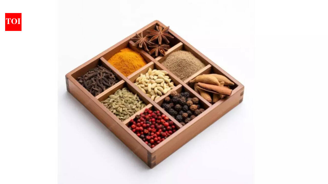 Sturdy Steel Masala Box: To Keep All Your Spices Organized Inside the ...
