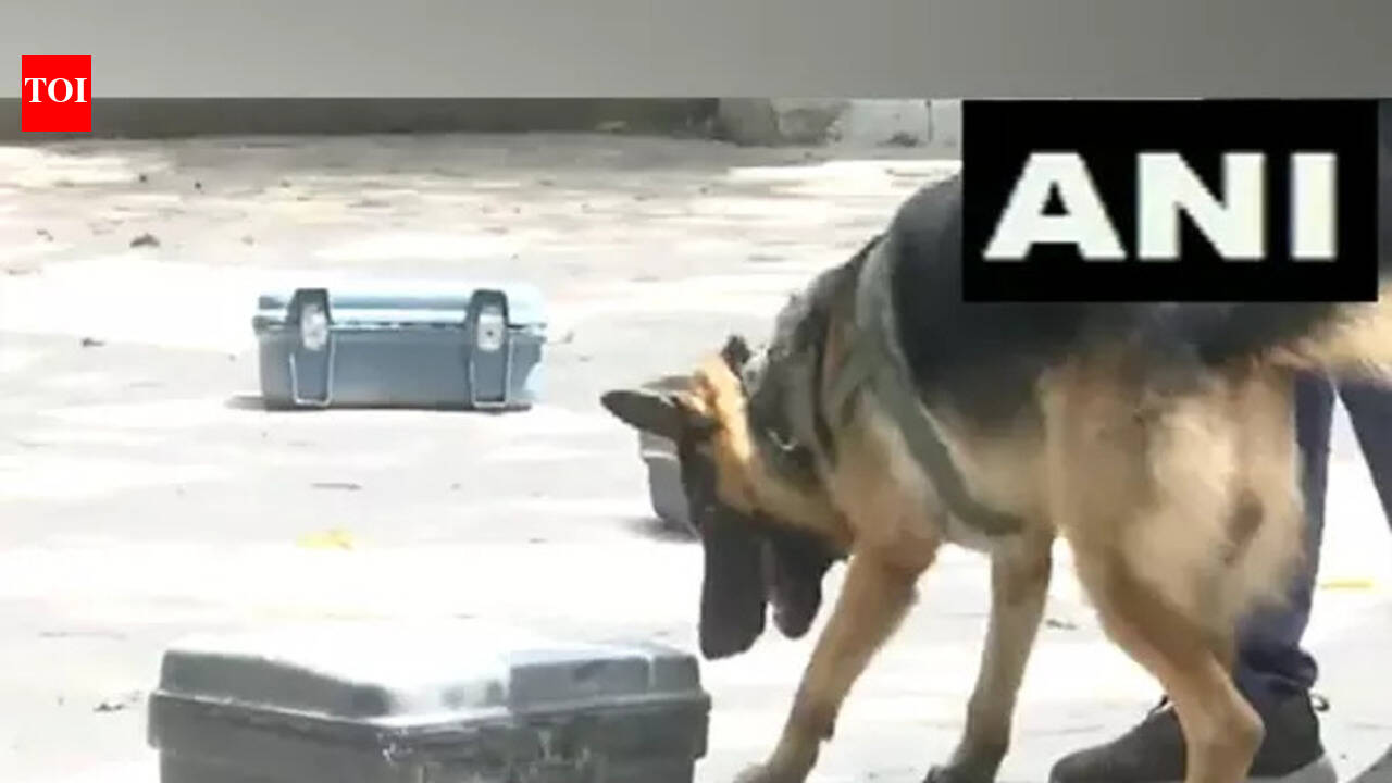 Delhi Police's dog squad conducts drills for detection of dummy ...