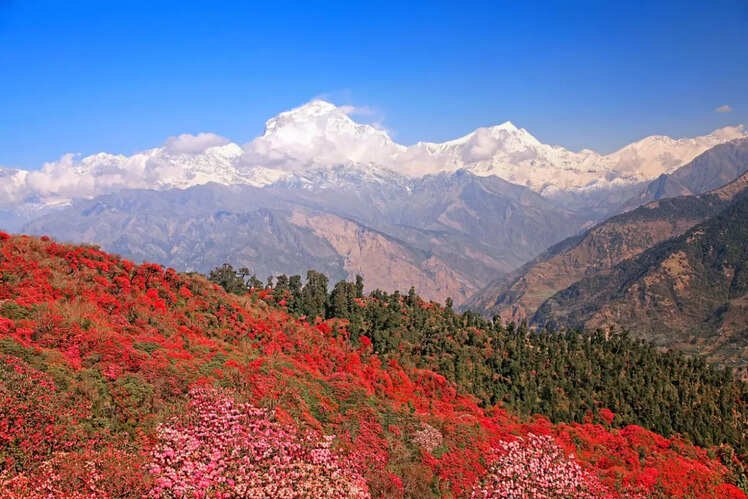 Unforgettable beautiful photos of the Himalayas! | Times of India Travel