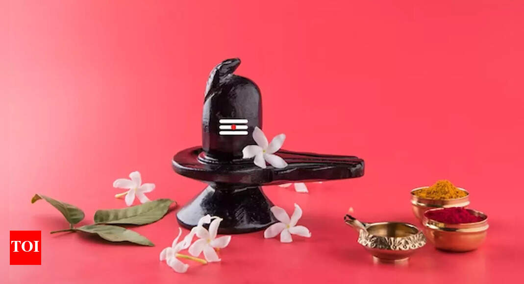 Shivling: Varanasi gears up for one crore Shivling rituals, aims for ...