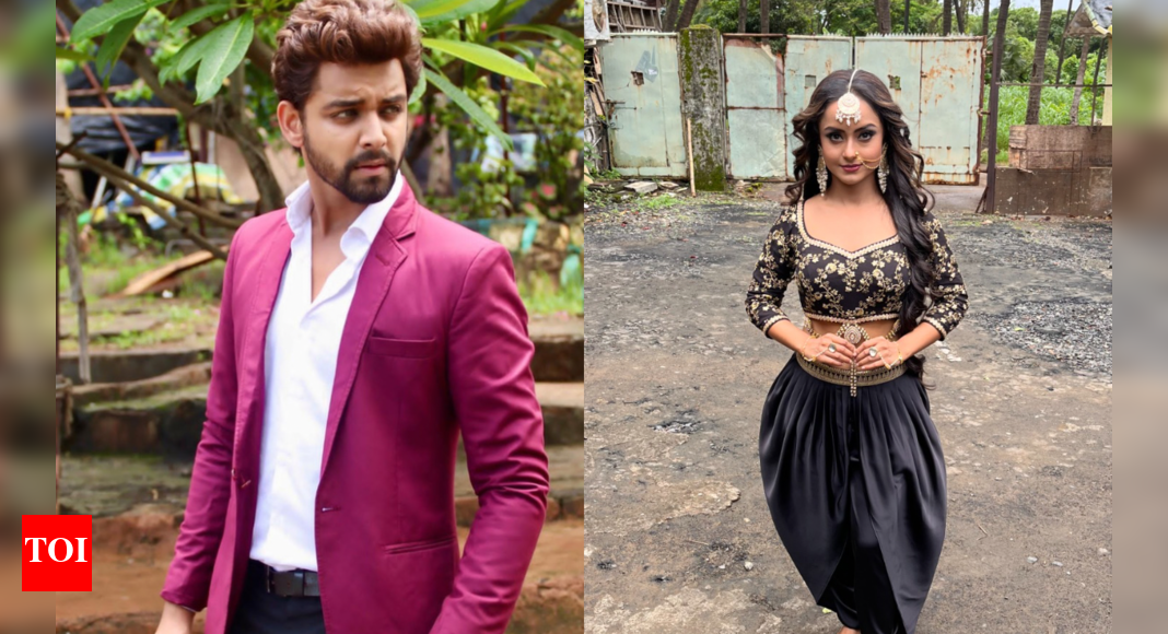 Maitree: Maitree to find the Swaran Naagmani and bring Harsh back to ...