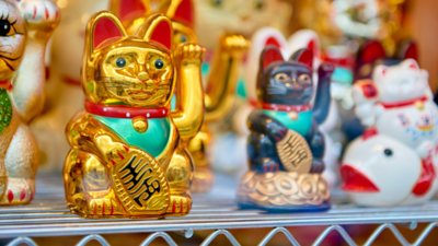 Instant karma: Postal worker saves cat, wins $717,500 from Washington ...