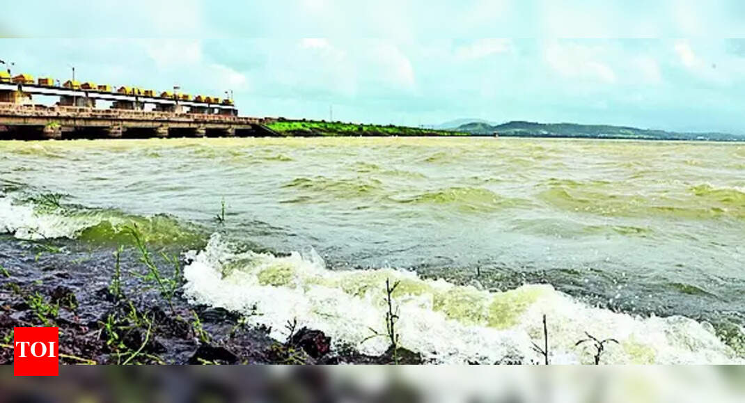 Stock Market: Nashik District Reels Under 46% Rainfall Deficit | Nashik News - Times of India