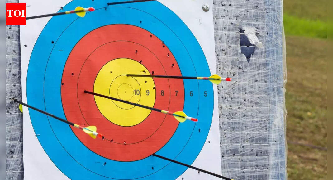 Archery target boards for professionals: Best picks - The Times Reviews