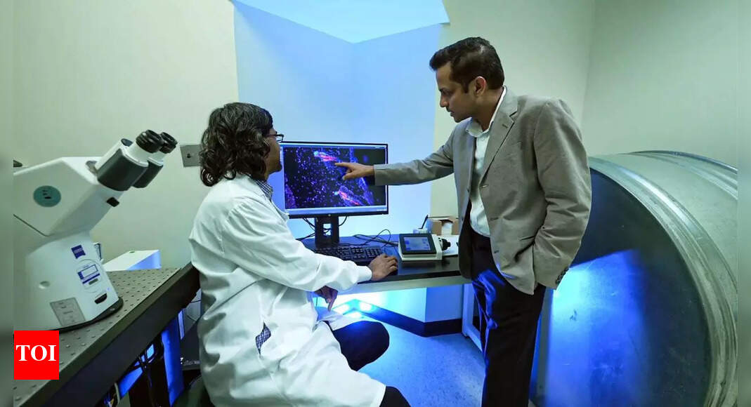 Study finds stem cells in thymus for first time - Times of India