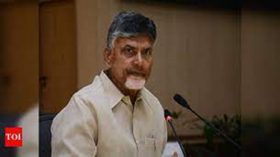 TDP: Tdp, Bjp Alliance Paradox Always Threw Up Surprises | Hyderabad News - Times of India