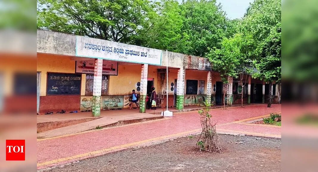 Government Schools: Closing Of Govt Schools In Border Area Raises ...