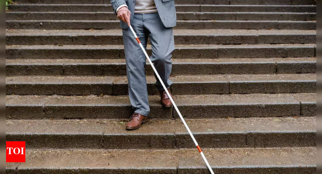 Foldable walking sticks: Top picks - The Times Reviews (August, 2025)