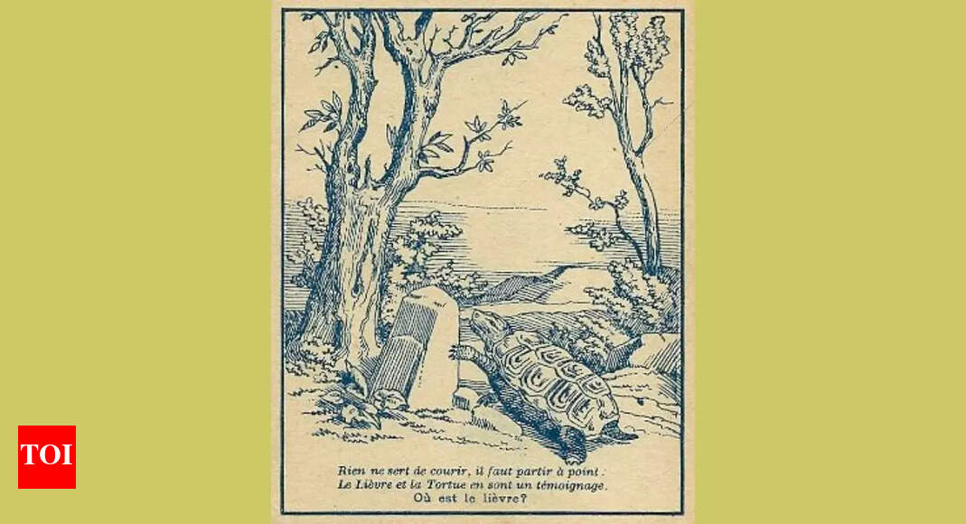 Optical Illusion: You are a genius if you can find a rabbit in this ...