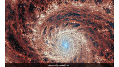 Stunning portraits of whirlpool galaxy shared by NASA's James Webb ...