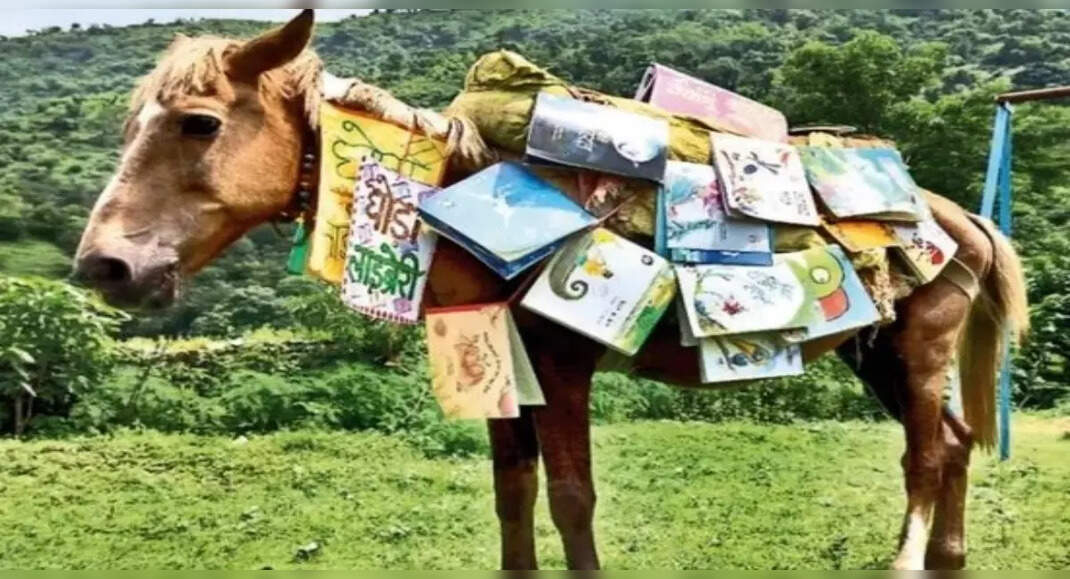 This quirky ‘Ghoda Library’ in Nainital is winning hearts and minds ...