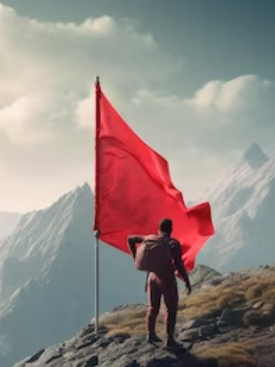 Red Flags In Me | What Are Some Red Flags In Myself | Times Now