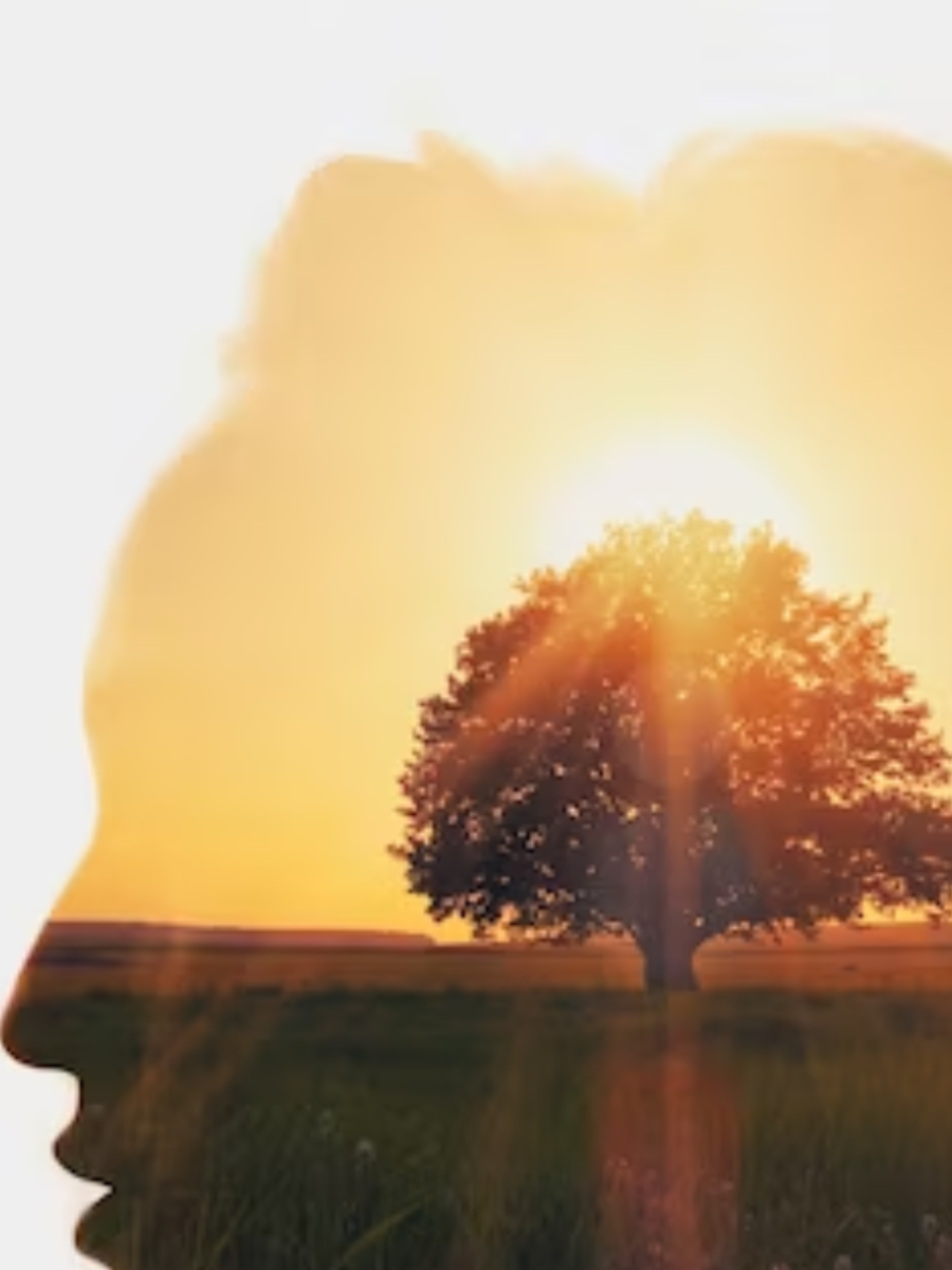 7 Zodiac Signs Who Can Read Minds | Times Now