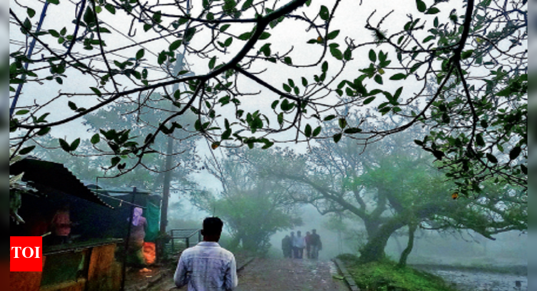Monsoon: Unusual monsoon weather pattern baffles experts; revival ...